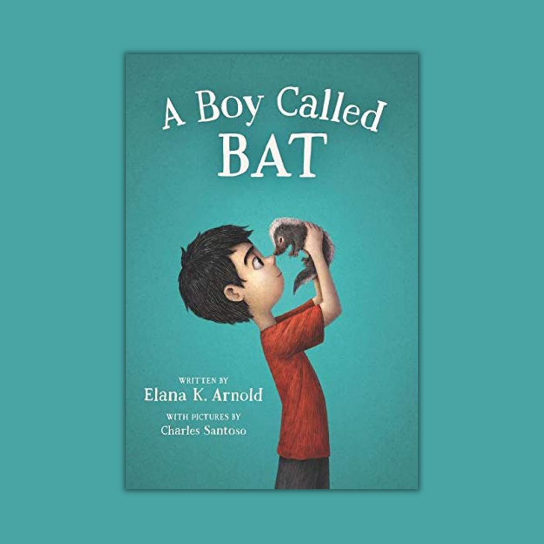 A Boy Called Bat | Varsha Seshan's Official Website